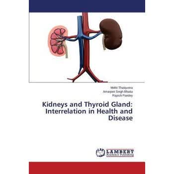 Kidneys and Thyroid Gland: Interrelation in Heal