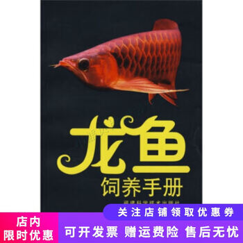 龙鱼饲养手册