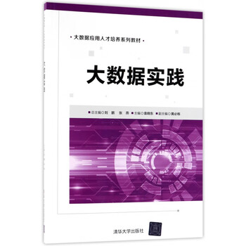 大数据实践(大数据应用人才培养系列教材)