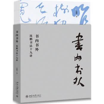 书内书外(沈鹏书法十九讲)
