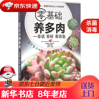 【新华书店 正版书籍】零基础养多肉：养活养好养出色（汉竹）阿尔主编江苏凤凰科学技术出版社有限公司 正版图书绘本
