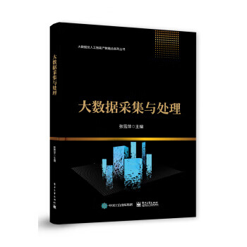 【新华正版】 大数据采集与处理 张雪萍 著 电子工业出版社