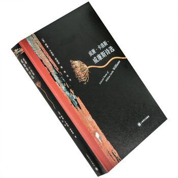 威廉·卡洛斯·威廉斯诗选 精装  书籍 全新 诗歌