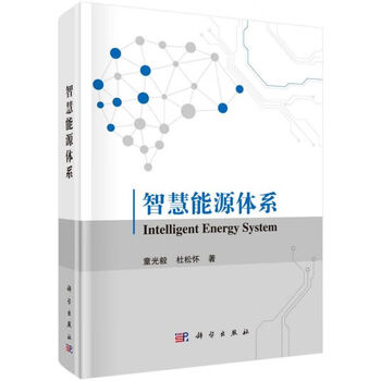 智慧能源体系(精)