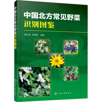 中国北方常见野菜识别图鉴