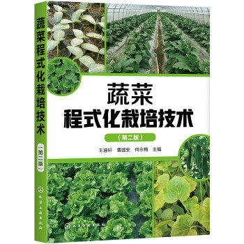 伪装的艺术：回忆录小史