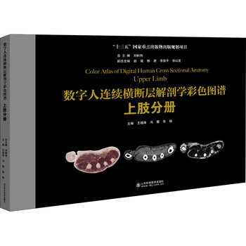 数字人连续横断层解剖学彩色图谱 上肢分册 王增涛,冯蕾,张杨 编 外科