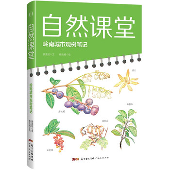 自然课堂——岭南城市观树笔记