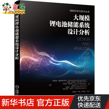 大规模锂电池储能系统设计分析/储能科学与技术丛书
