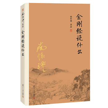 金刚经说什么南怀瑾金刚经讲记总结佛教经文讲解佛教书籍复旦大学出版社fd