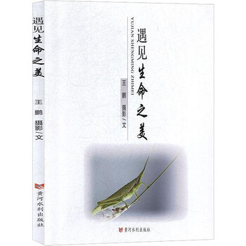 遇见生命之美