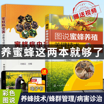 养蜂书籍 图说蜜蜂养殖关键技术+蜜蜂病虫害诊断与防治技术手册中蜂养殖技术书 养蜂技术蜂病防治技