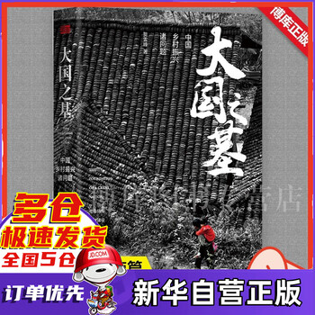 大国之基 中国乡村振兴诸问题 贺雪峰 东方出版社2019中国好书