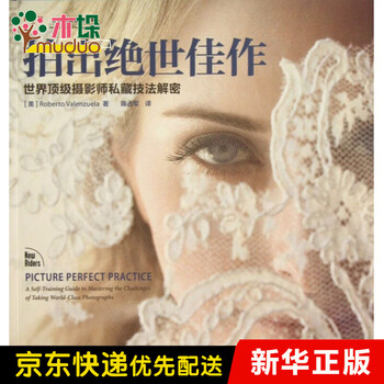 拍出*世佳作(世界**摄影师私藏技法解密)/世界**摄影