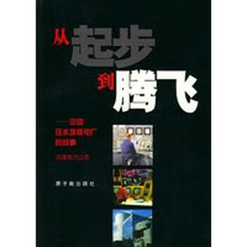 从起步到腾飞【正版图书】