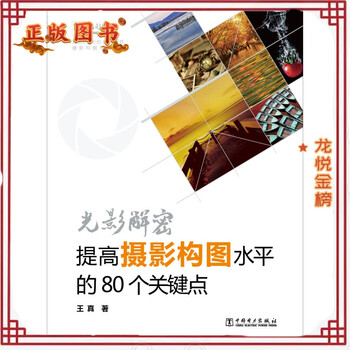   光影解密 提高摄影构图水平的80个关键点 专著 王真著 guang ying ~ie m