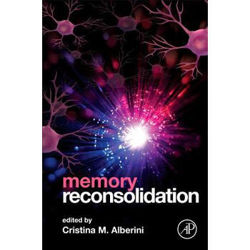 高被引Memory Reconsolidation