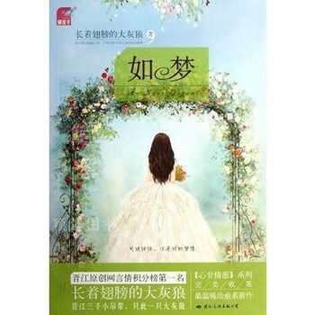 如梦 长着翅膀的大灰狼著 国际文化出版公司