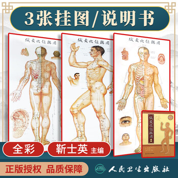正版 针灸穴位挂图 第5版 靳士英 金完成 靳朴主编 针灸穴位人体挂图 经络 穴位 中医