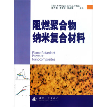 阻燃聚合物纳米复合材料