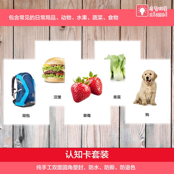 认知套装卡片 自闭症训练卡片 孤独症儿童ABA教具 语言发育迟缓 5寸塑封水果40张