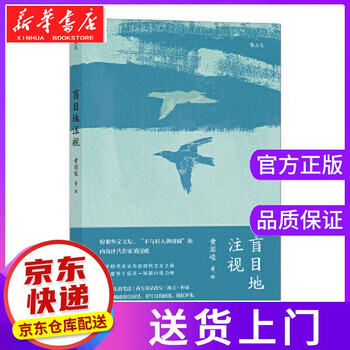 【正版图书】盲目地注视 黄国峻后浪 中国友谊出版公司