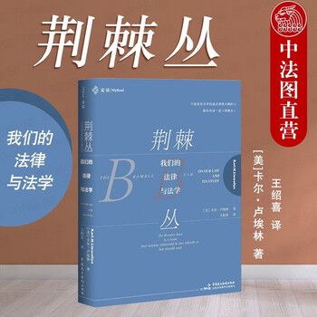 2020麦读新书 荆棘丛 我们的法律与法学 现实主义法学的经典名著 批判法学理论 法学入门