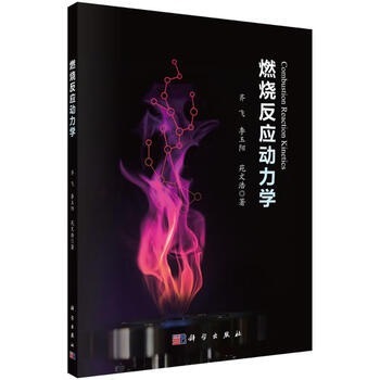 燃烧反应动力学 图书