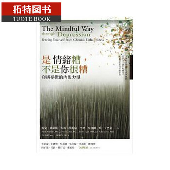 台版 是情绪糟，不是你很糟：穿透忧郁的内观力量