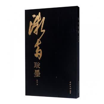 微斋联墨  陈浩  西泠印社出版社  书法 书籍