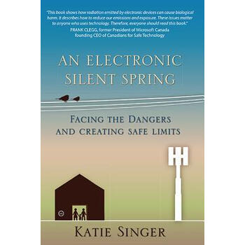 An Electronic Silent Spring: Facing the Dangers