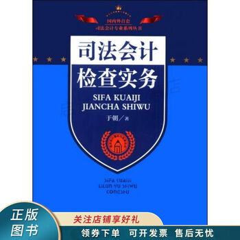 司法会计检查实务 于朝