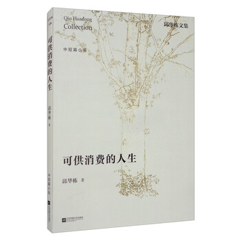 邱华栋文集：可供消费的人生