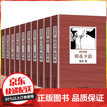 鲁迅作品集全10册 鲁迅作品散文杂文小说集 朝花夕拾 故乡 彷徨 呐喊 阿Q正传 狂人日记