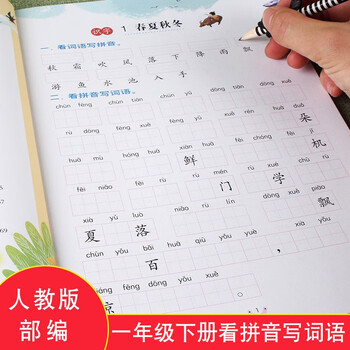 一年级二年级上册下册看拼音写词语写汉字生字注音一课一练天天练彩绘版语文专项训练练习册写字练字本笔顺 一下