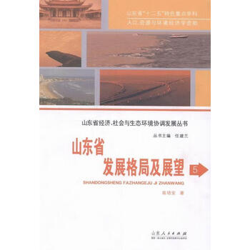 山东省发展格局及展望 陈培安 体育/运动 9787209078979