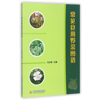 常见食用野菜图谱