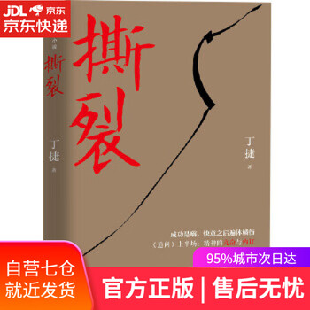 【正版图书】撕裂 丁捷 中国文联出版社