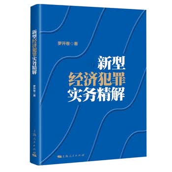 新型经济犯罪实务精解