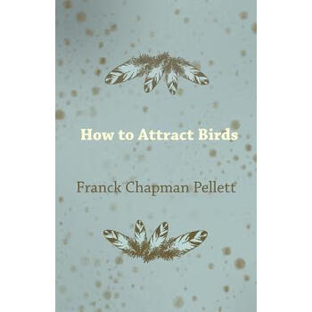 How to Attract Birds