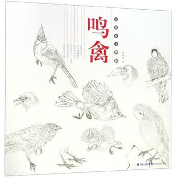 鸣禽/白描技法精解