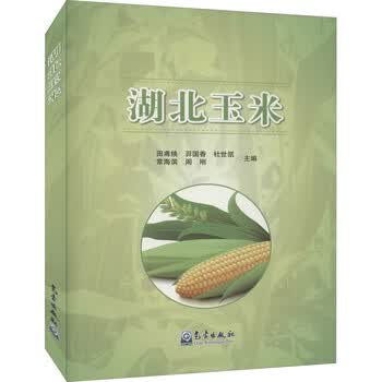 湖北玉米