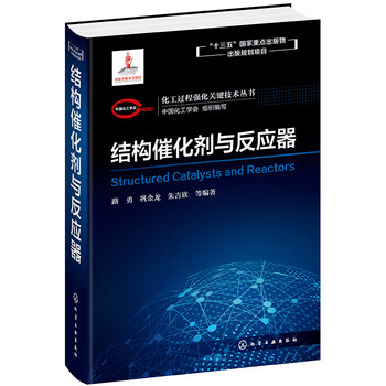 化工过程强化关键技术丛书--结构催化剂与反应器