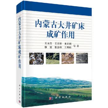 内蒙古大井矿床成矿作用科学出版直发