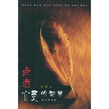点燃心灵的智慧【正版图书】
