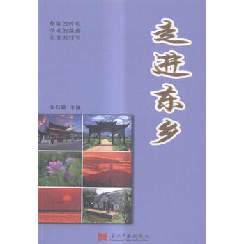 东乡 朱昌勤 动漫 9787515403915