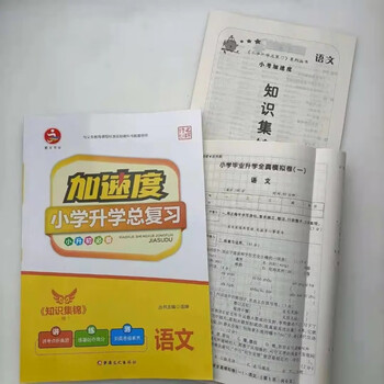 2022新版 加速度小学升学总复习 语文 小升初 名师特训