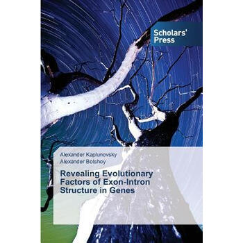 Revealing Evolutionary Factors of Exon-Intron St