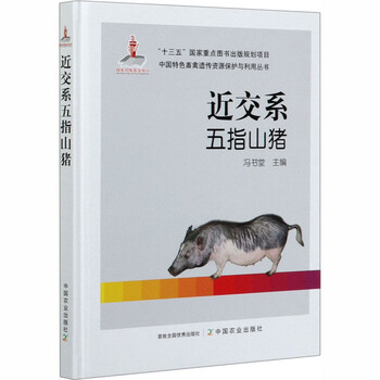 近交系五指山猪