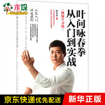 叶问咏春拳从入门到实战(视频学习版)
